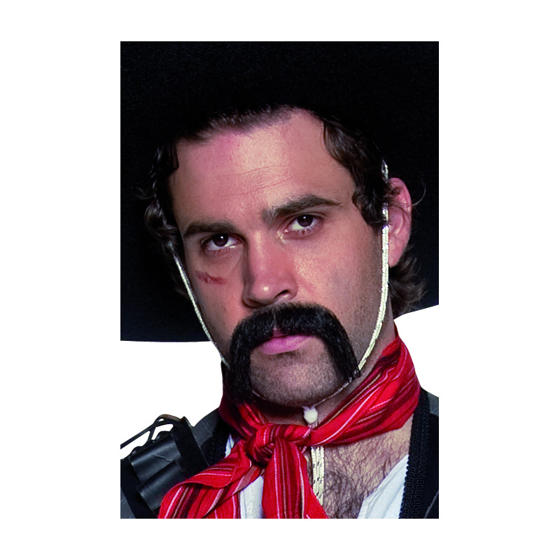 Moustache noire western mexicain adulte