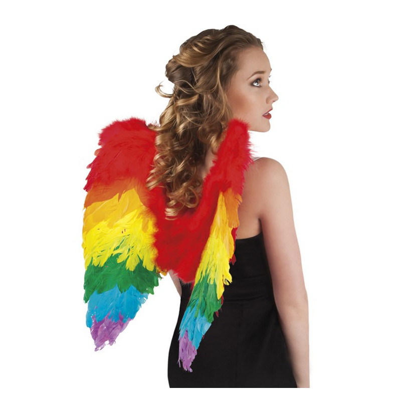 Ailes - Accessoires déguisement | Festi.fr