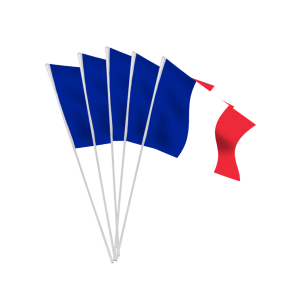 Lot de 100 petits drapeaux tricolores France
