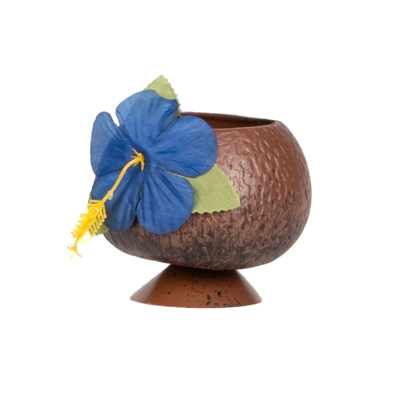 Coupe Hawaï noix de coco tropicale